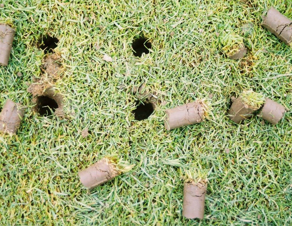 Lawn Aeration - Creating a greener, more resilient lawn